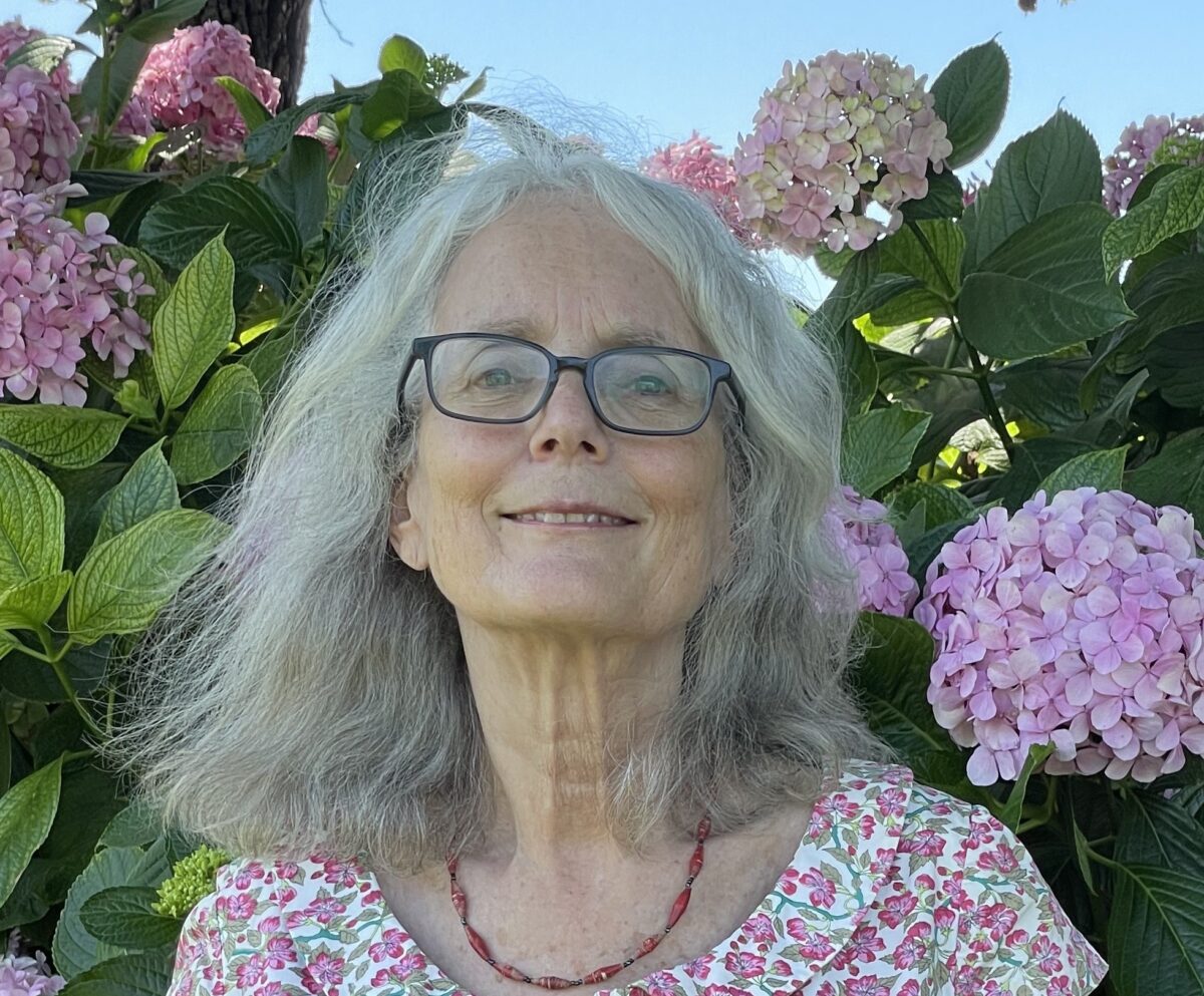 Welcome to the World of Bob Dylan 2025 - The TU Institute for Bob Dylan ...